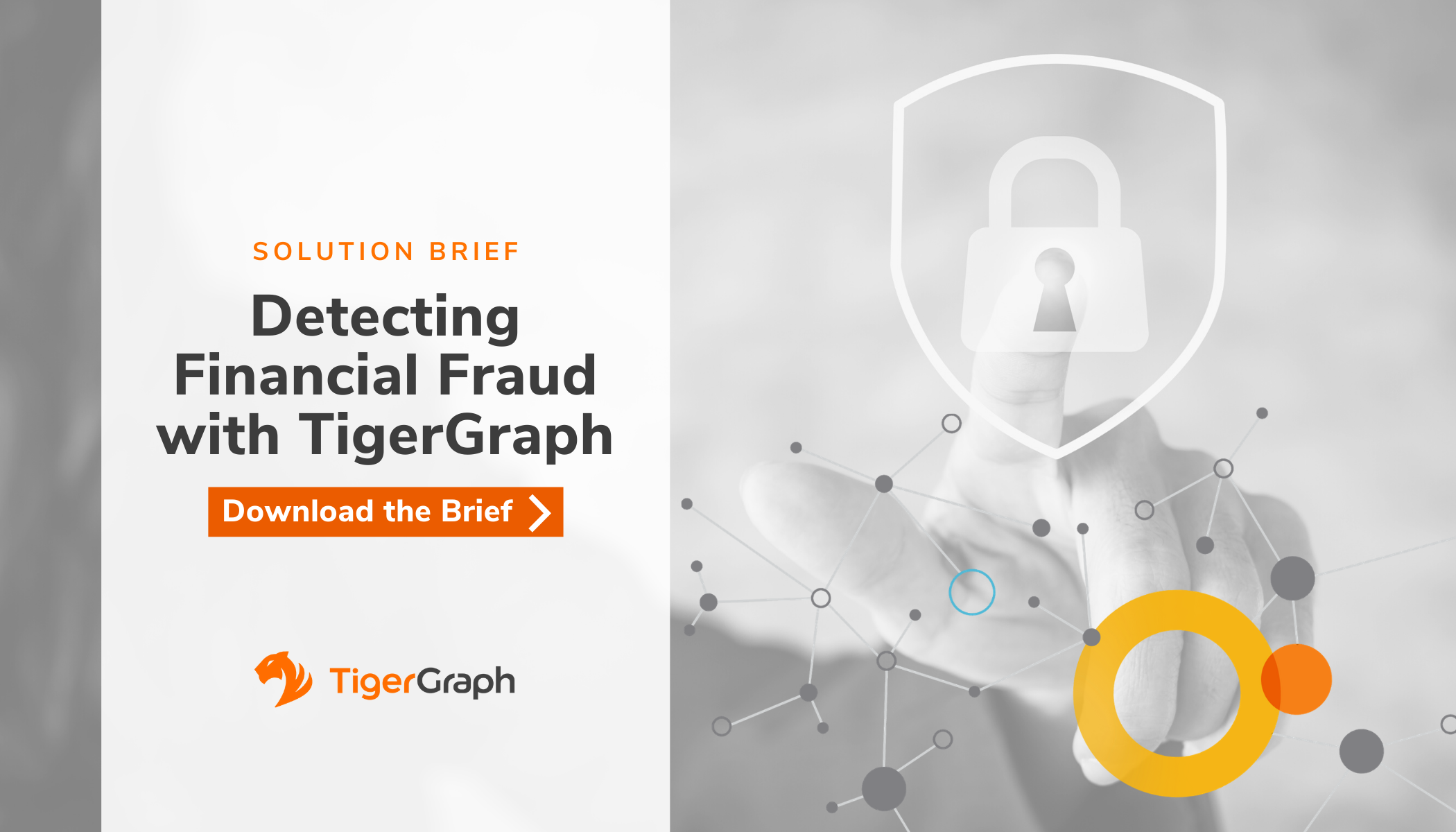 Detecting Financial Fraud Solution Brief